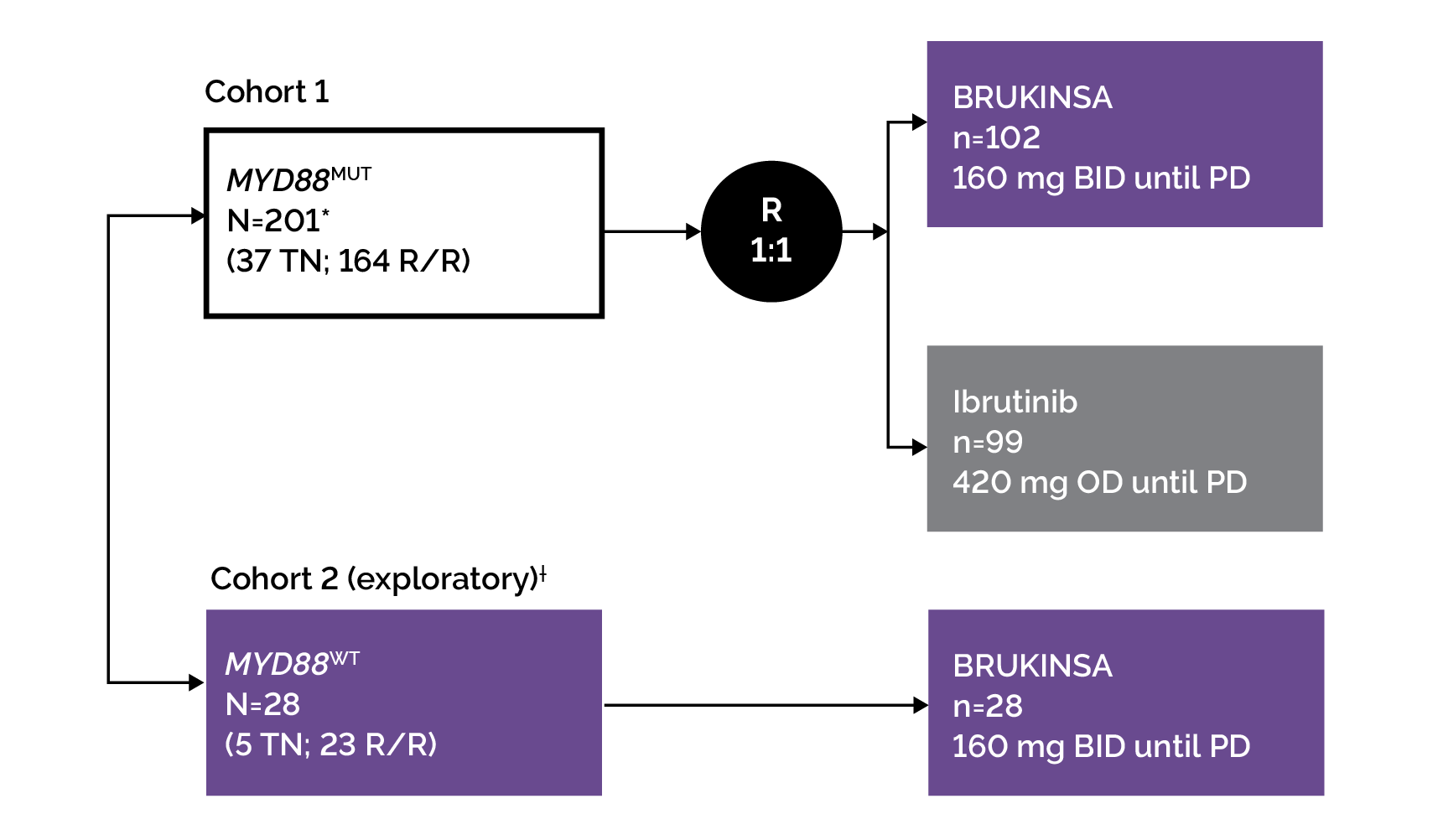 ASPEN study - Brukinsa® (zanubrutinib)